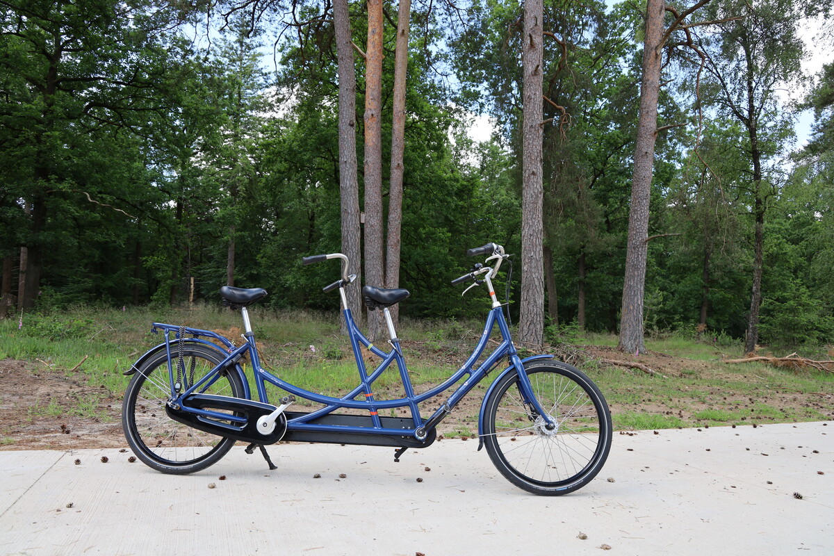 Tandem — Park Hoge Veluwe